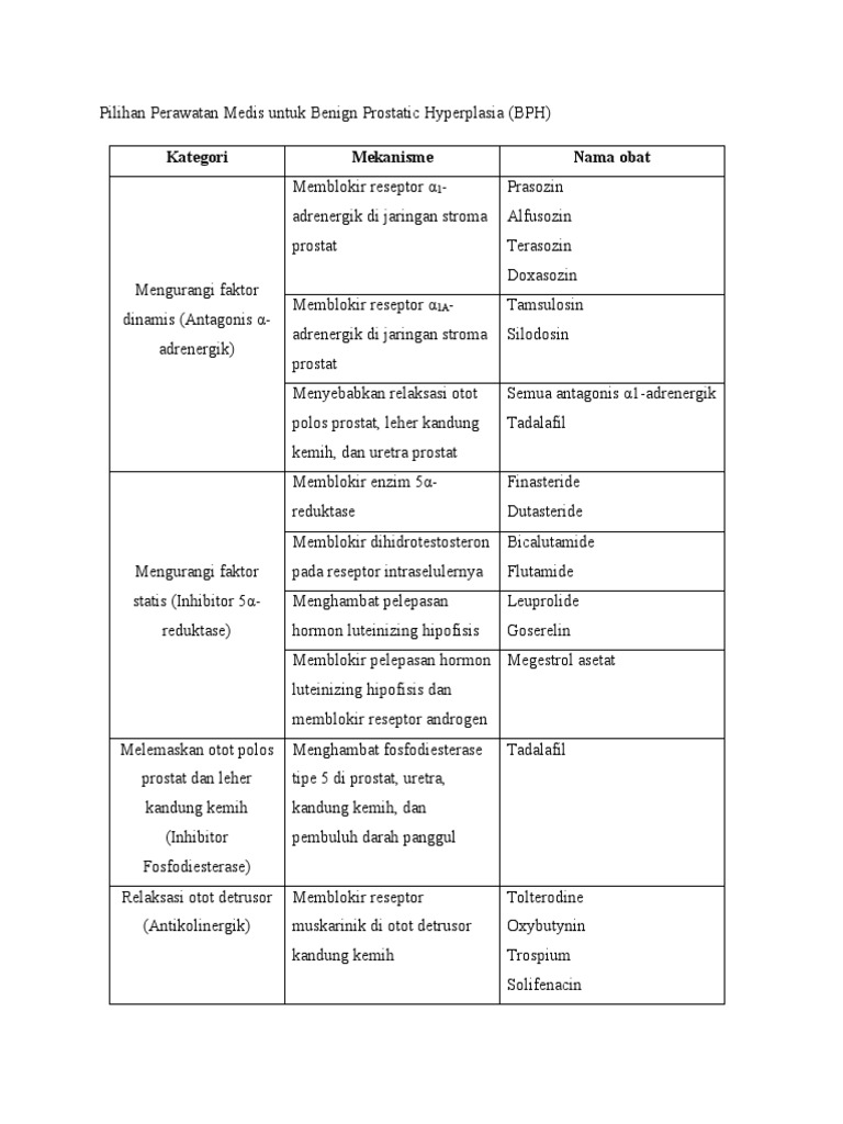 Golongan Obat-Obat BPH | PDF