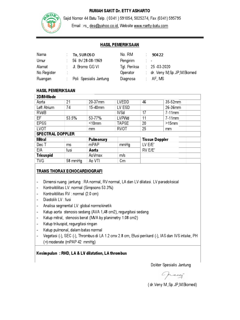 HASIL ECHO Suroso Af, Ms PDF | PDF