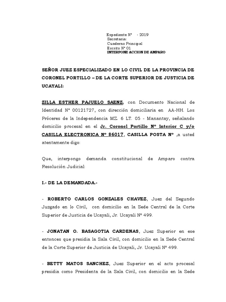 Accion de Amparo | PDF | Debido al proceso | Demanda judicial