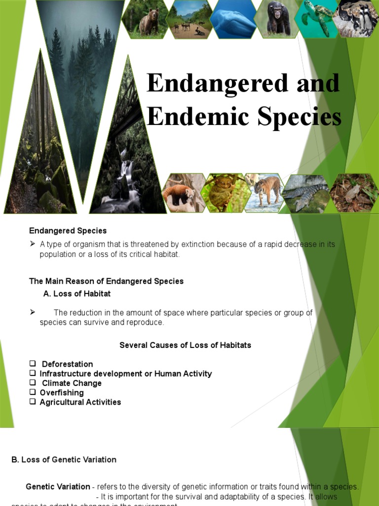 Endangered and Endemic Species Overview | PDF | Endangered Species ...