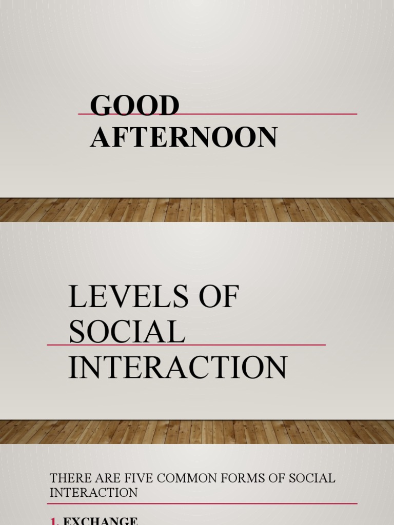 Level of Social Interaction | PDF
