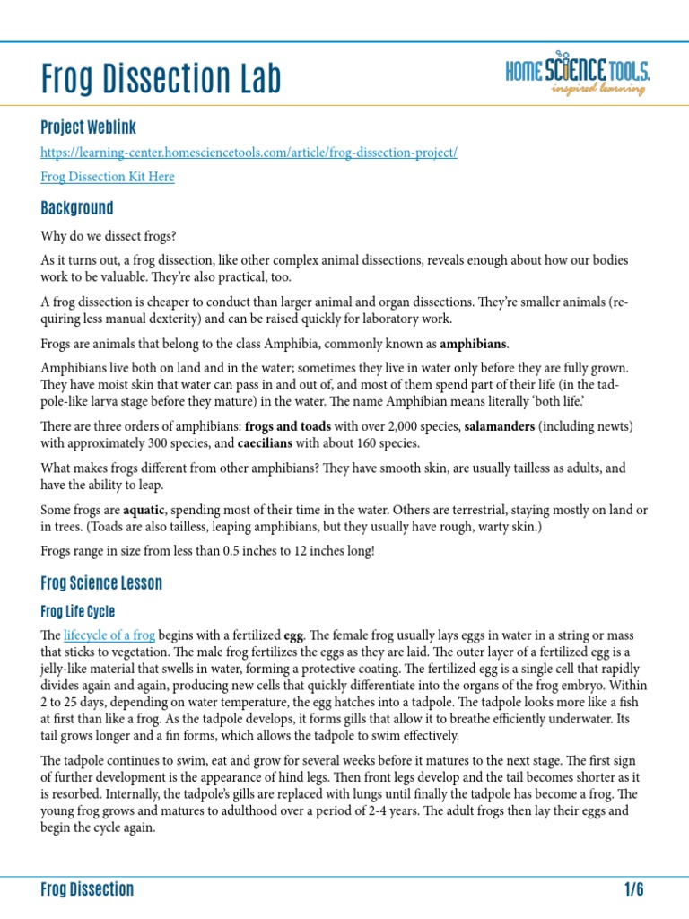 Frog Dissection Guide and Anatomy Overview | PDF