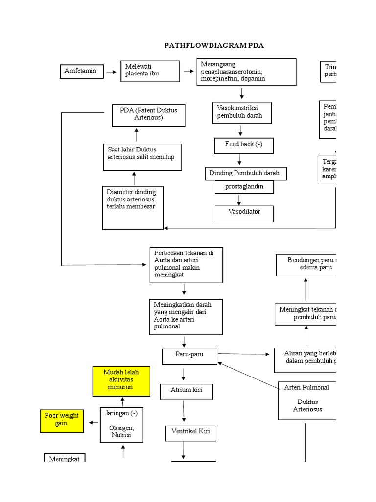 Pathway PDA pada Anak dan Bayi | PDF