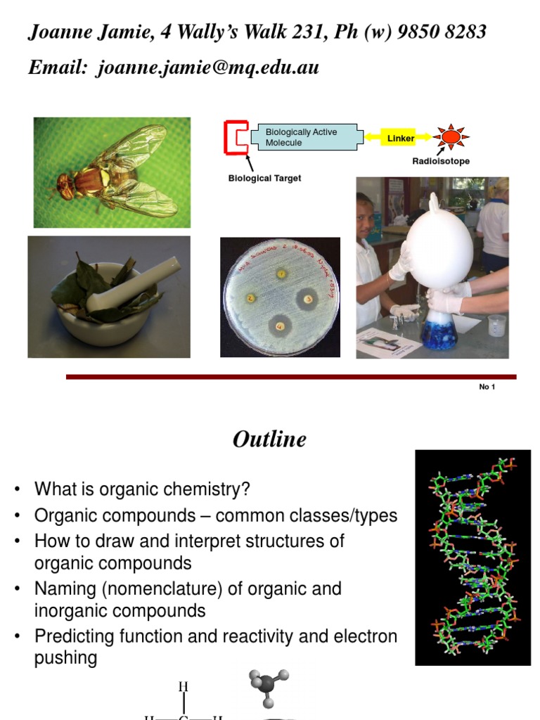 Chemistry Functional Groups LECTURE | PDF | Alkane | Functional Group