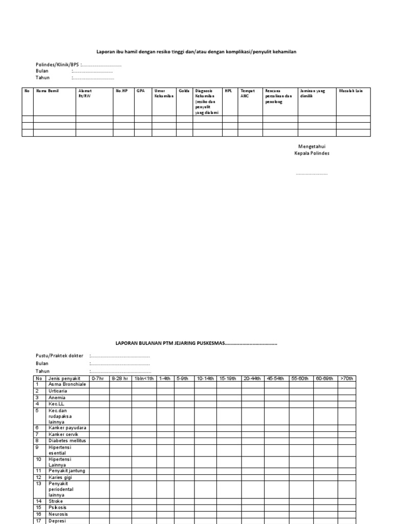 22 Laporan Jaringan Dan Jejaring Puskesmas | PDF