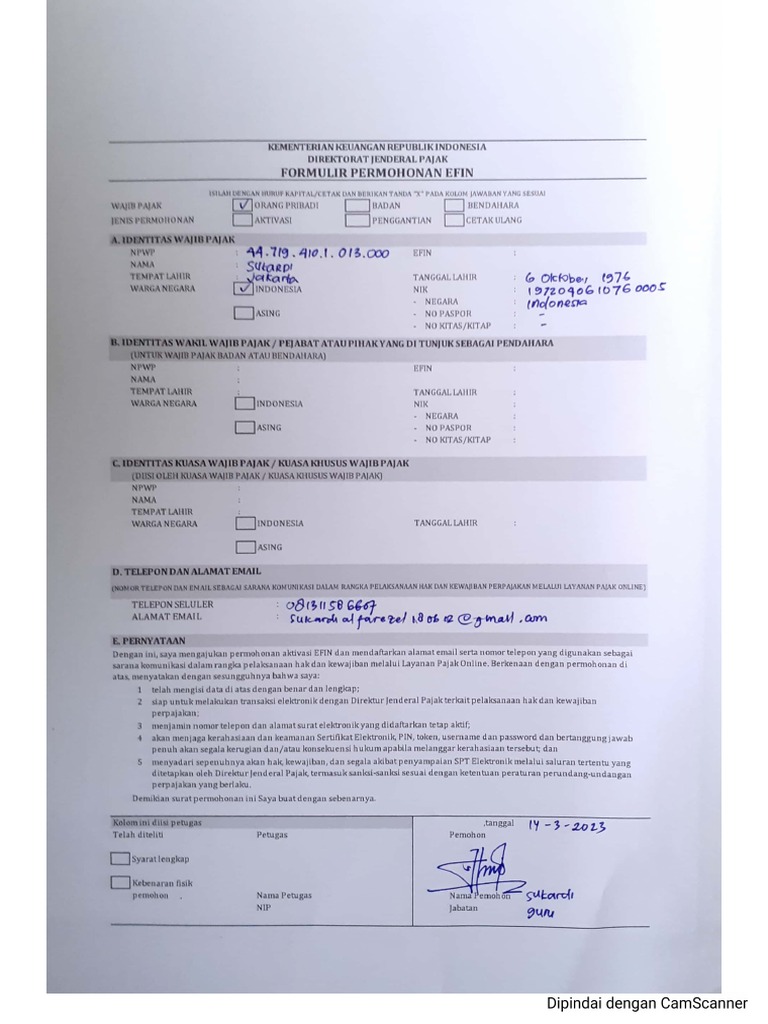 Form Efin | PDF