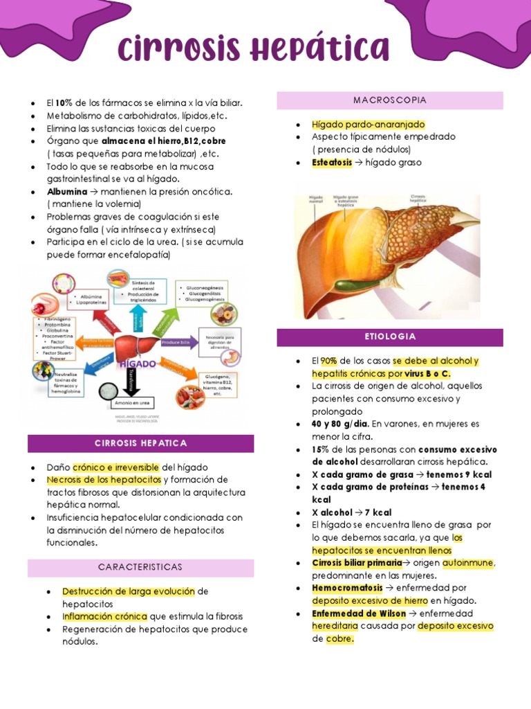 Cirrosis hepática | PDF | Cirrosis | Hígado