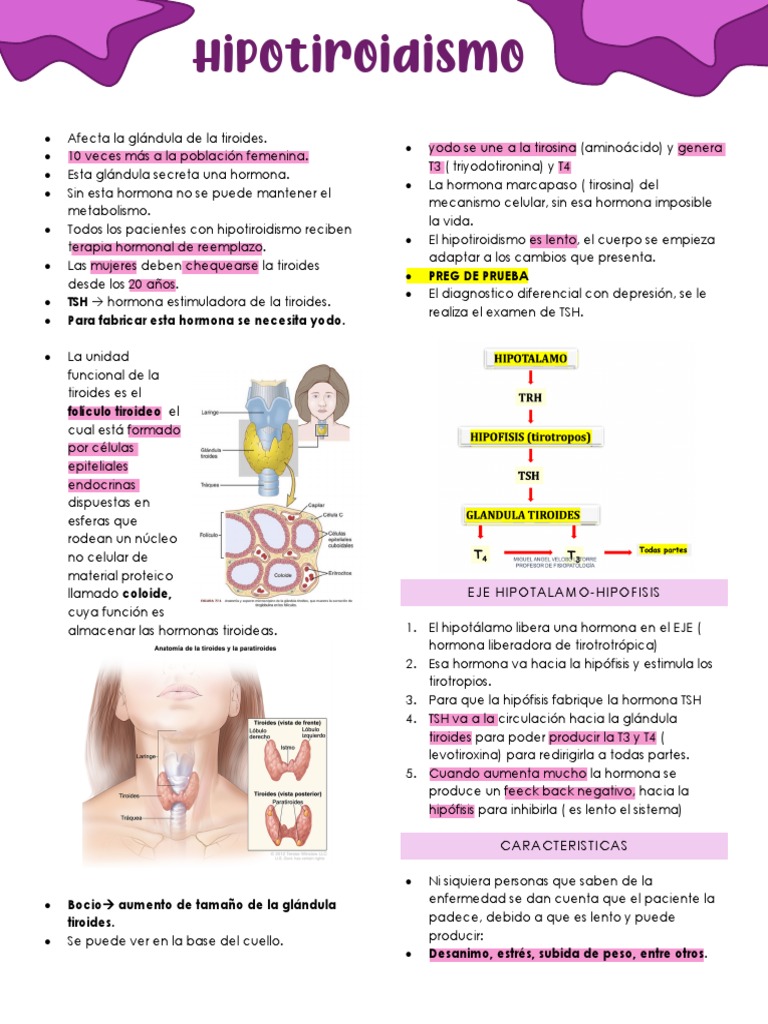 Hipotiroidismo: causas, síntomas y tratamiento | PDF | Tiroides | Hormona estimulante de la tiroides