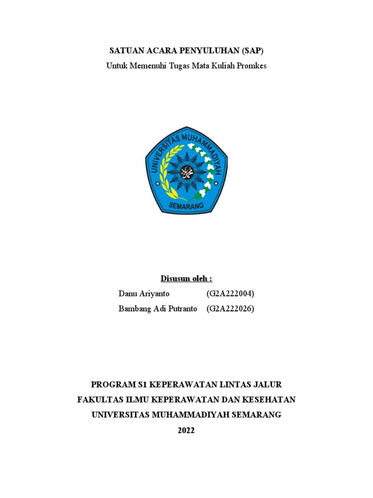 FORMAT Sap Model IDI | PDF