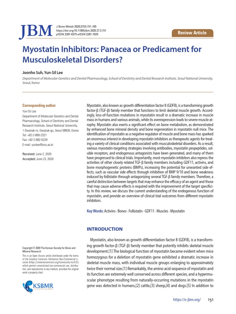 Myostatin Inhibitors: Panacea or Predicament For Musculoskeletal ...