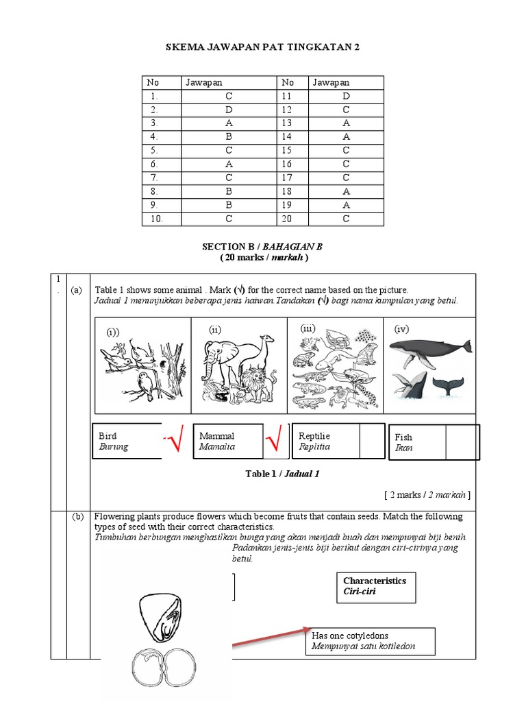 Soalan Pat Sains T2 2020 SMKLB - Skema | PDF