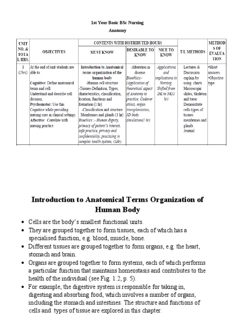 1st Year Basic BSC Nursing Anatomy Word Notes in Details | PDF
