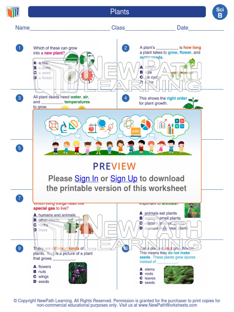 Worksheet Science Grade 2 Plants 2 | Download Free PDF | Environmental ...