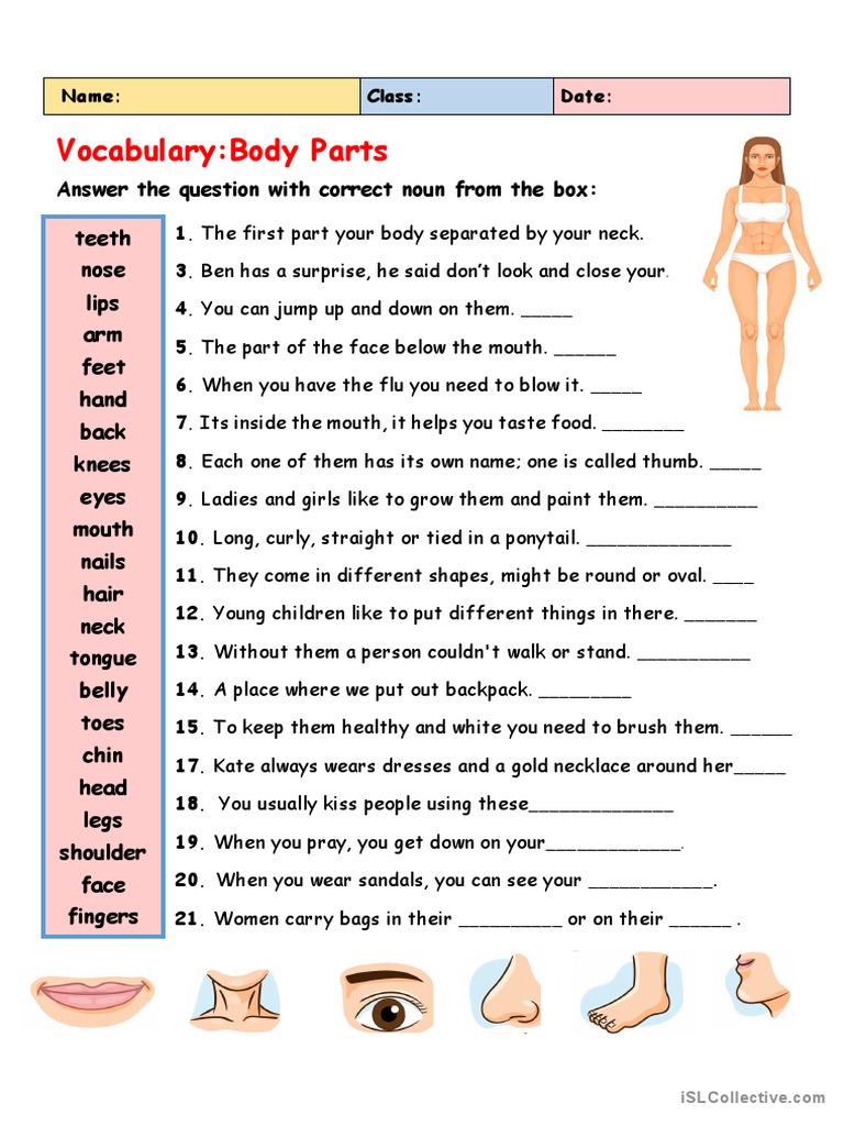 Vocabulary - Body Parts | PDF