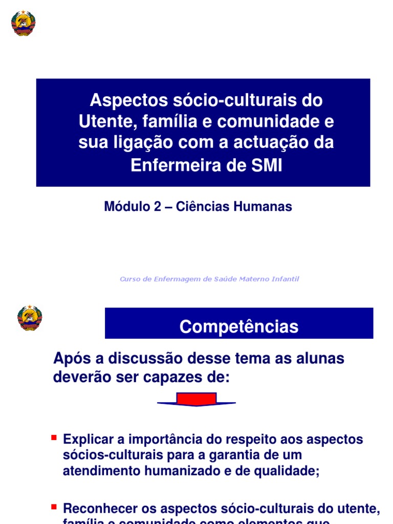 Plano de Aula 6 Mod 2 ESMI Abril 11 | PDF | Enfermagem | Família