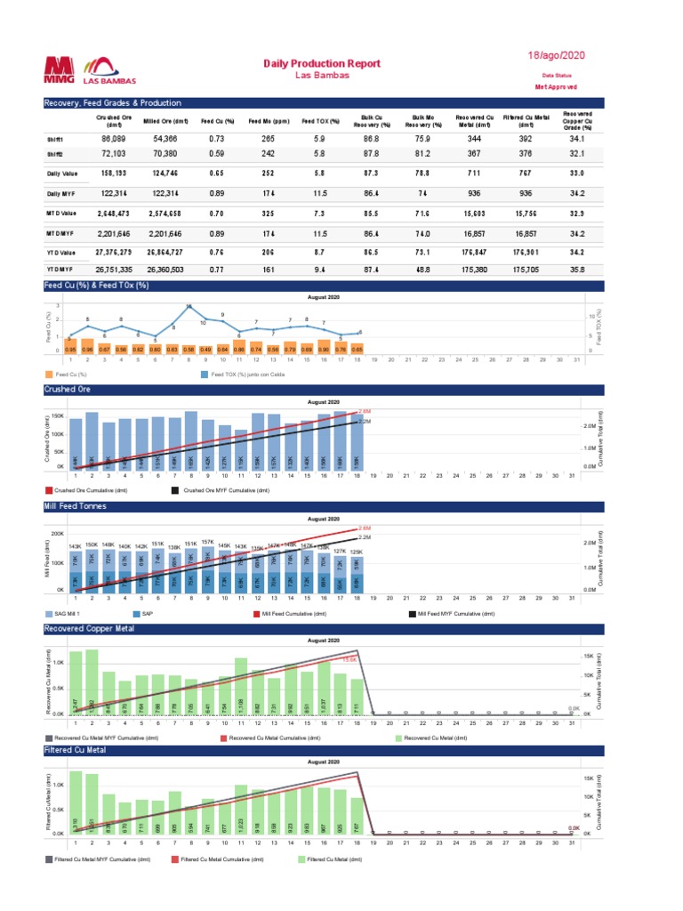 Daily Production Report | PDF