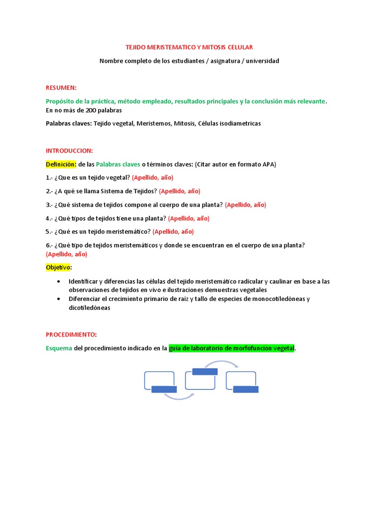 Guia Lab MFV 2 | PDF | Raíz | Tallo de la planta