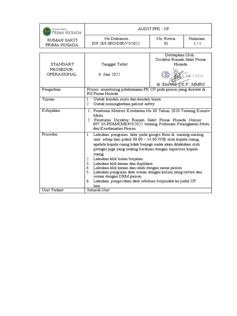 Spo Audit PPK CP | PDF