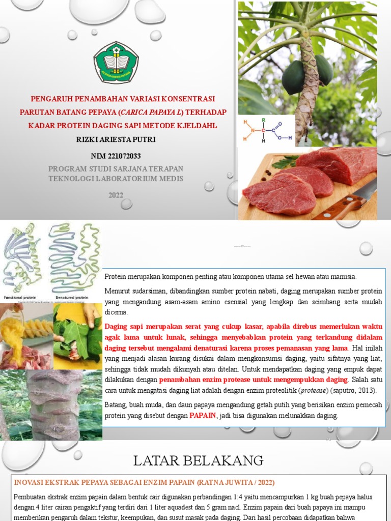 KADAR PROTEIN DAGING | PDF