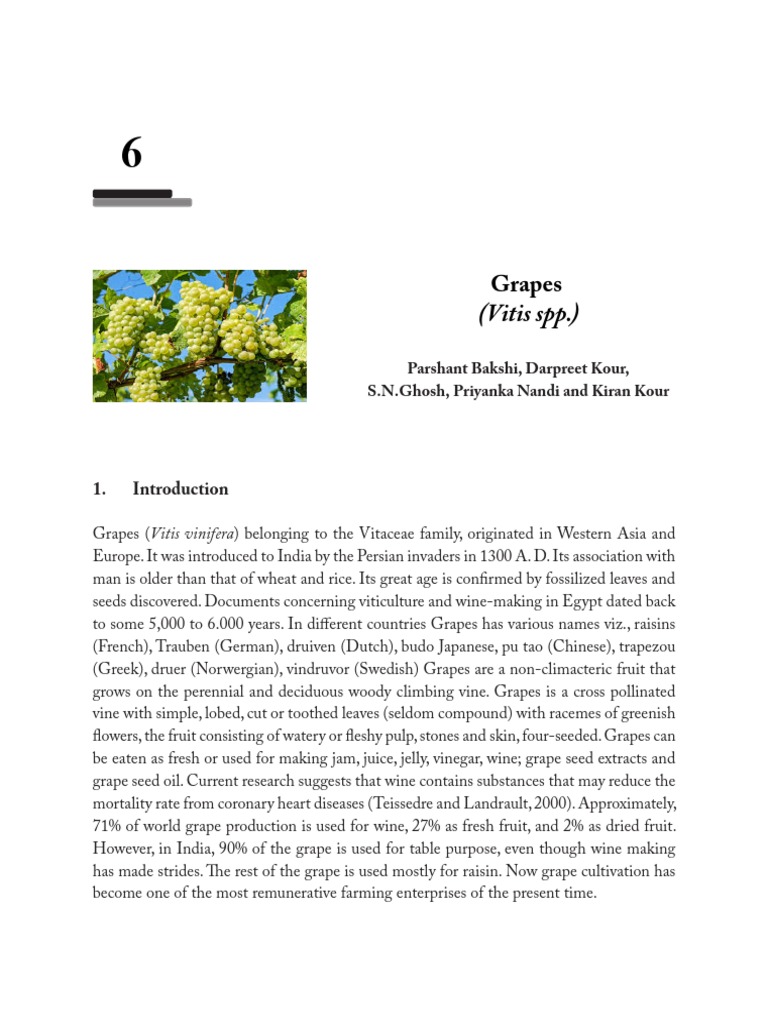 Grapes | PDF | Phenolic Content In Wine | Tissue (Biology)