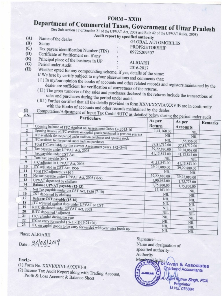 Form 23 PDF | Download Free PDF | Economies | Accounting
