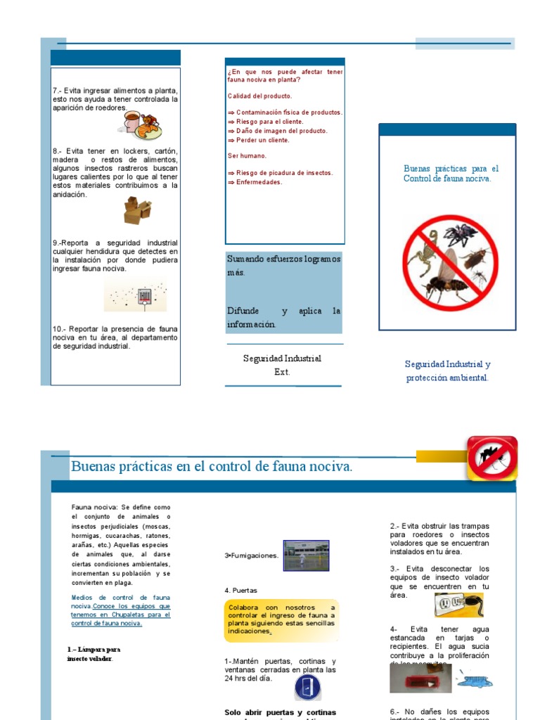 Triptico Fauna Nociva | PDF | Insectos | Pesticida