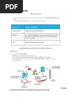 IGCSE Biology: Enzymes Overview | PDF | Enzyme | Active Site