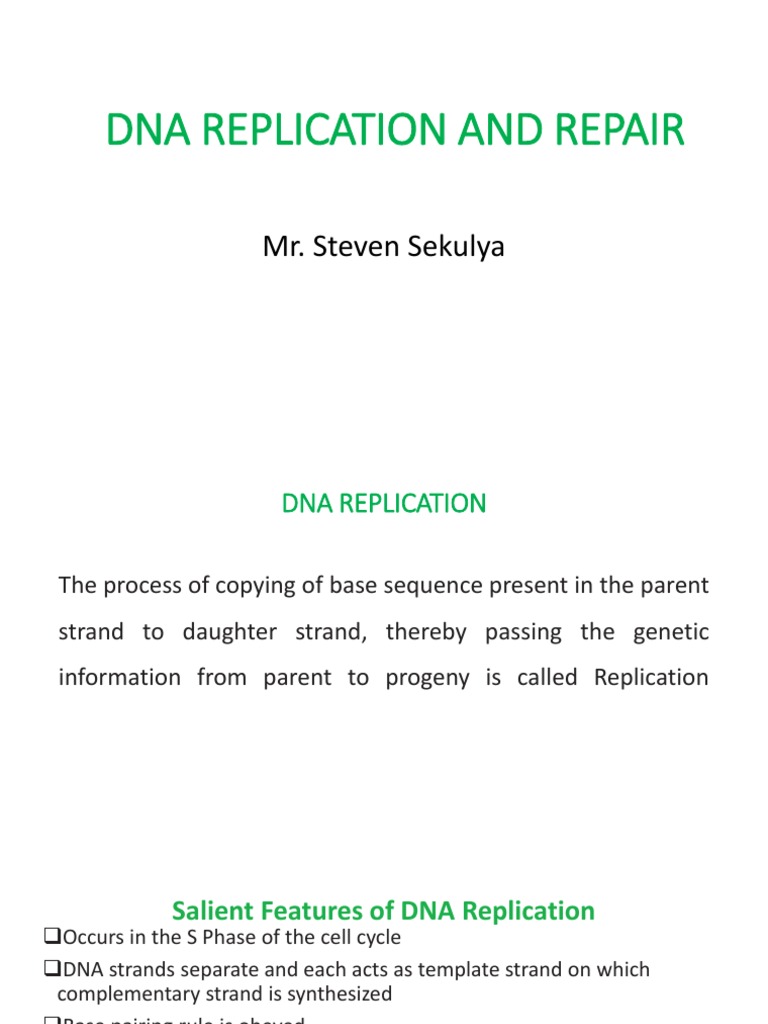 Dna Replication And Repair Pdf Pdf Dna Replication Primer