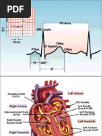 Diastolic Assessment ASE Guidelines | PDF | Diastole | Echocardiography