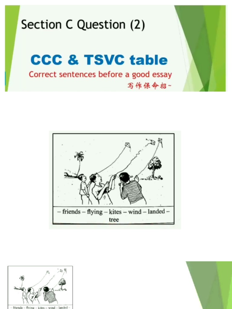 教学 section c | PDF