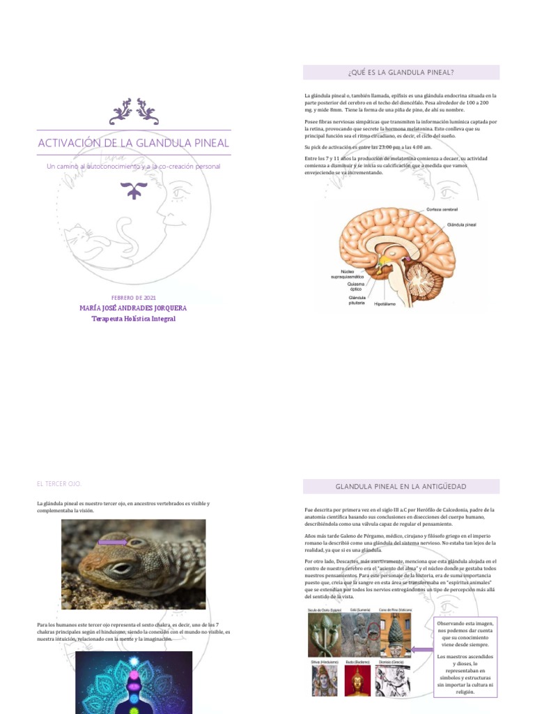 Activaciã N de La Glandula Pineal | PDF