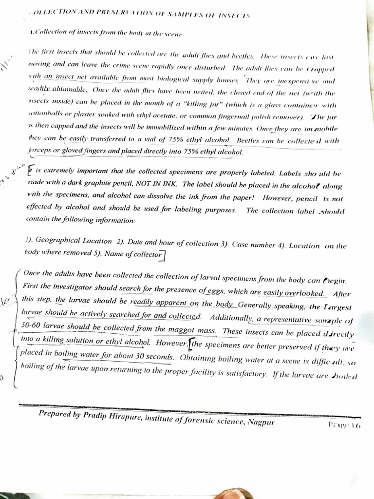 Collection and Preservation of Entomological Evidences | PDF | Fly ...
