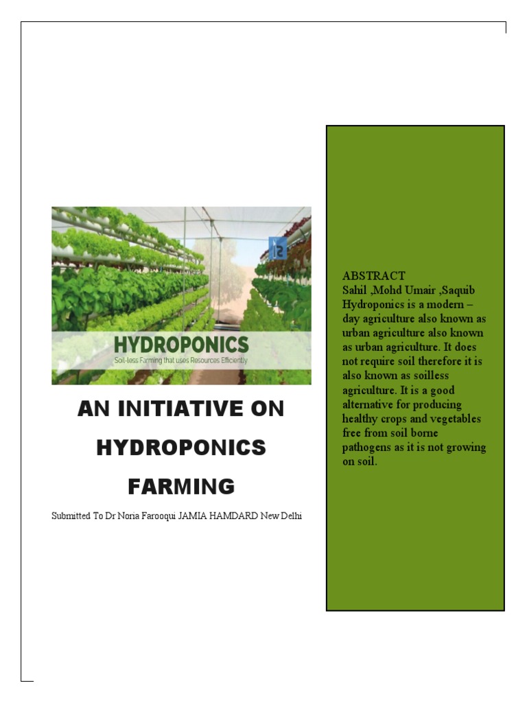 Maximizing Space and Conserving Water with Hydroponic Farming | PDF ...