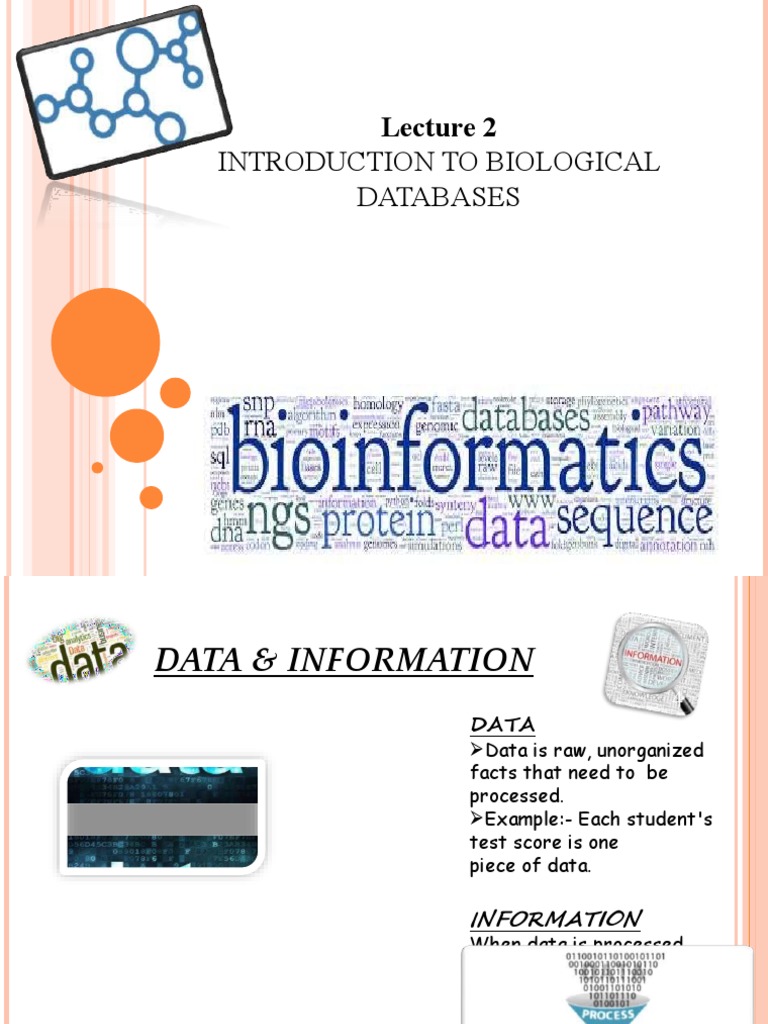 Biological Databases Lec 2,3 | PDF | Pub Med | National Center For ... Biological Databases Lec 2,3 | PDF | Pub Med | National Center For ...