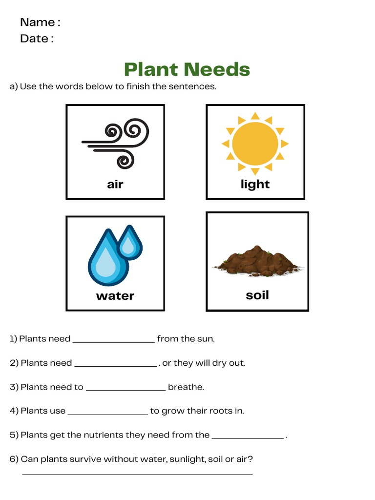 Science Activity Worksheets | PDF