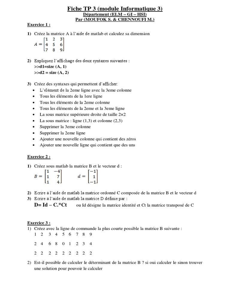 Exercices MATLAB sur les matrices et vecteurs | PDF