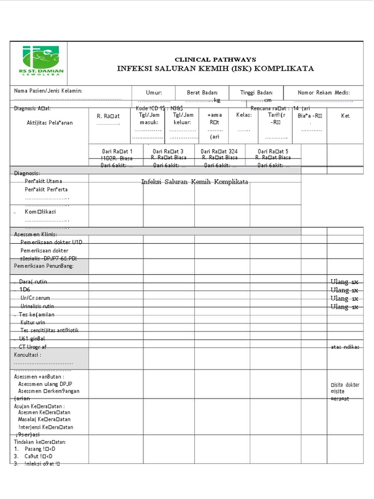 Infeksi Saluran Kemih (Isk) Komplikata: R. Ra at | PDF