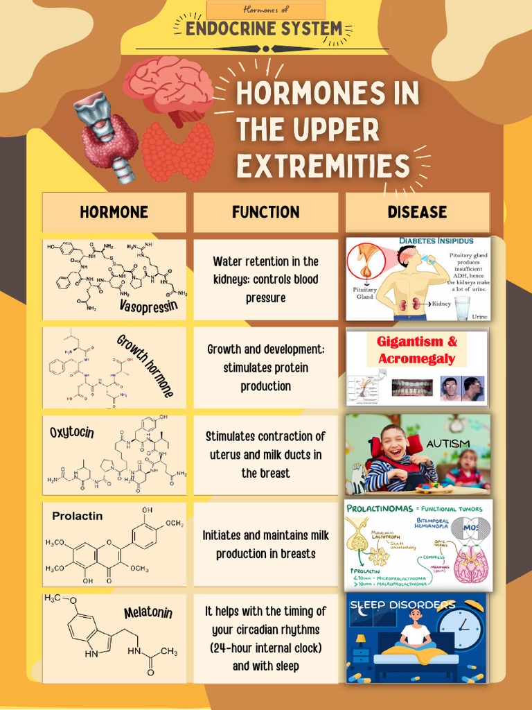 Sci-10 Q3 Pt-1-Hormonal Chart - Iligan | PDF | Endocrine System | Hormone