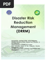 National Disaster Risk Reduction and Management Plan (NDRRMP) 2020 ...