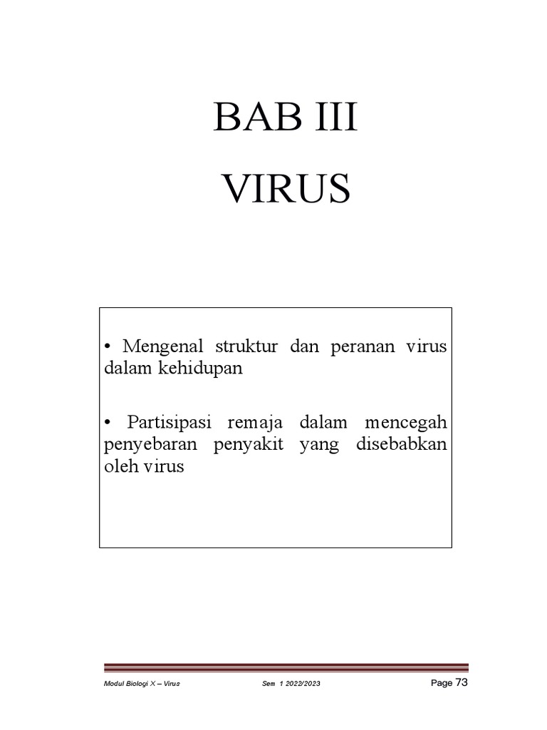 Bab Iii Virus | PDF