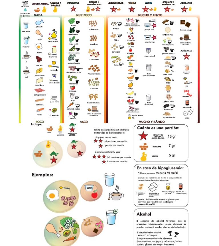 Semaforo de Alimentos RICH | PDF