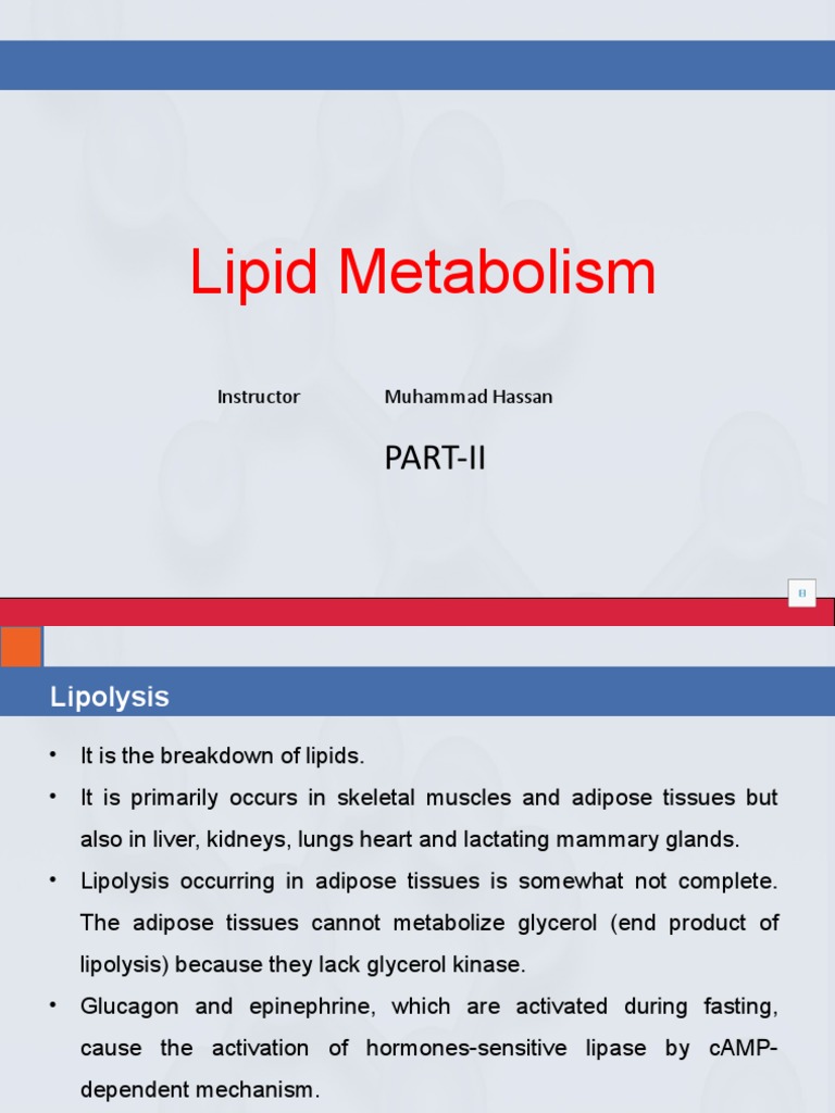 Lecture 7.2 Lipid Metabolism | PDF | Fatty Acid | Biochemistry