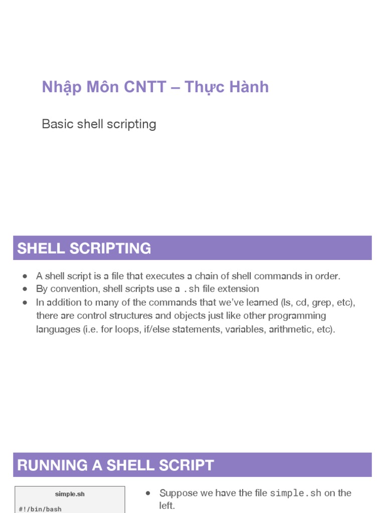 Bài 3 Basic Shell Scripting Pdf Pdf Command Line Interface Scripting Language 