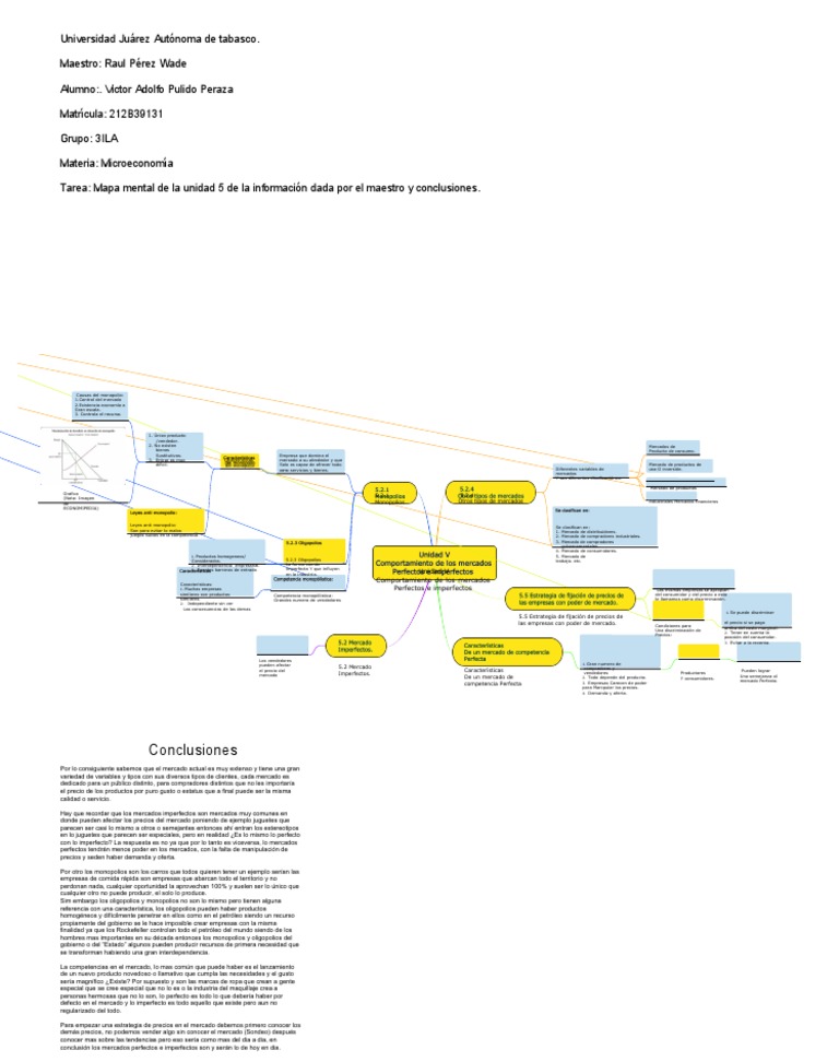 Mapa Mental Unidad V | PDF | Mercado (economía) | Monopolio
