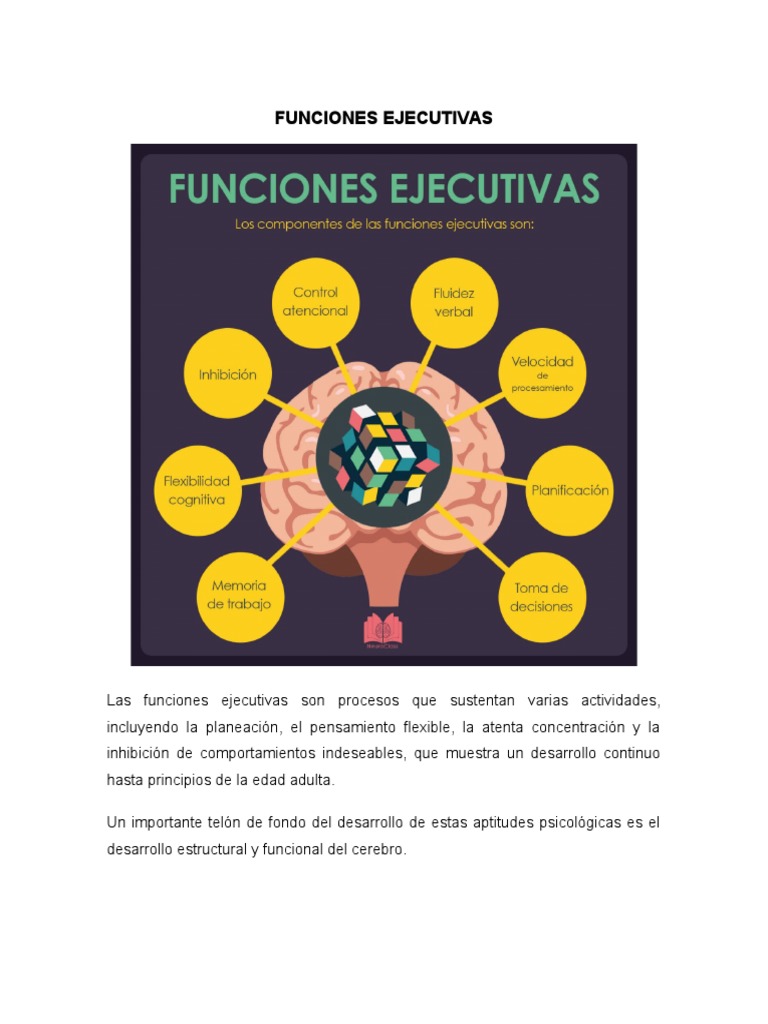 Desarrollo y Funciones Ejecutivas del Cerebro | PDF | Funciones ejecutivas | Neuropsicología