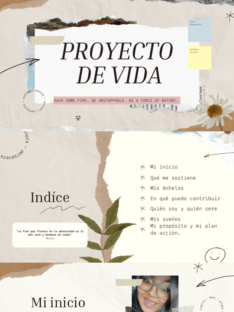 Proyecto de Vida PDF | PDF | Ciencia cognitiva | Ciencias del comportamiento