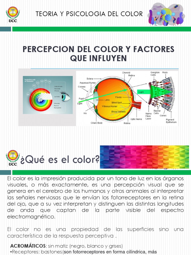 Percepcion de Colores y Factores Influye PDF | PDF | Color | Pigmento