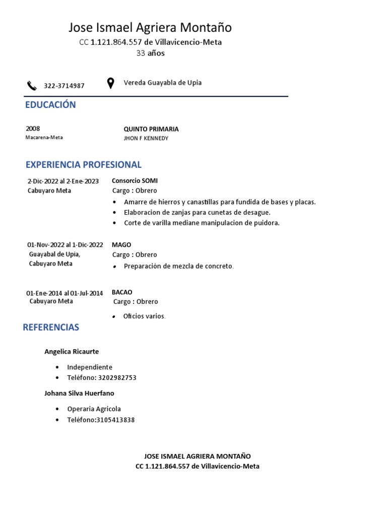 Ejemplo de Perfil de Hoja de Vida | PDF