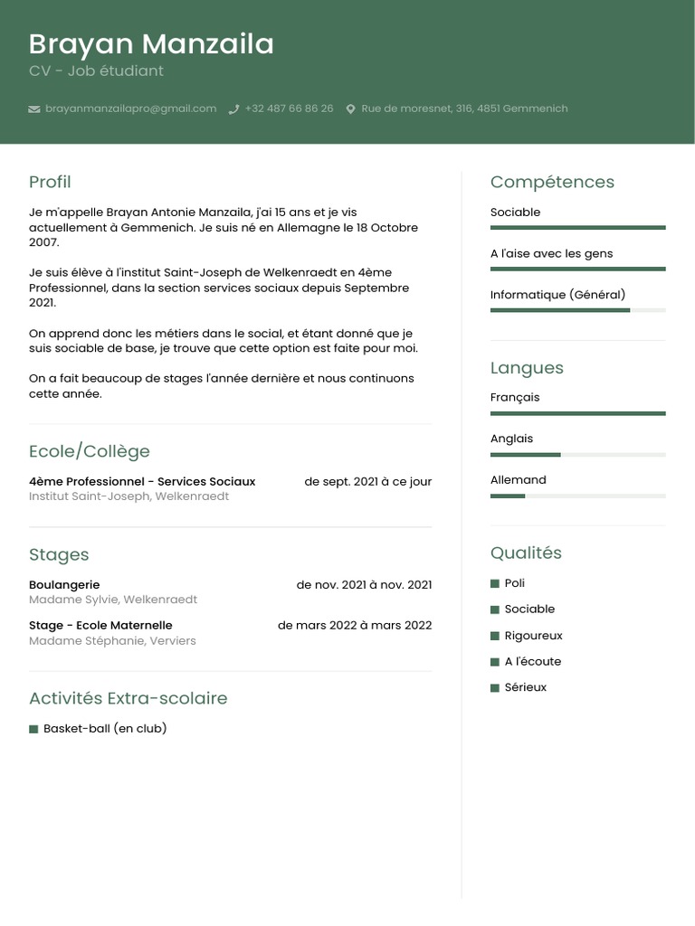 CV de Brayan Manzaila PDF | PDF