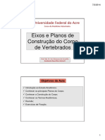 Aula 01 - EIXOS E PLANOS | PDF | Pé | Anatomia